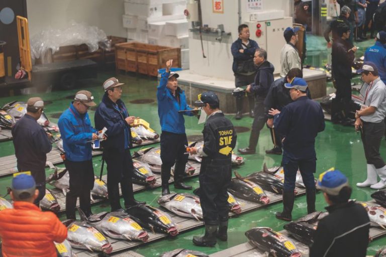 Inside Tokyo's Toyosu Fish Market, the world's largest seafood market ...