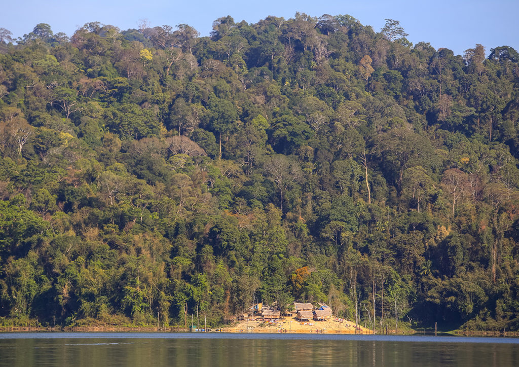 All you need to know about Belum-Temenggor, the world’s oldest ...