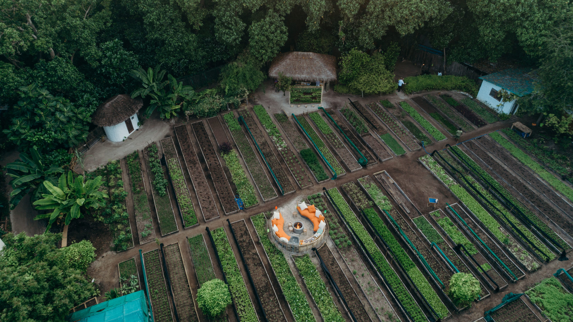 Vegan tourism is on the rise in Asia and across the world - Going ...