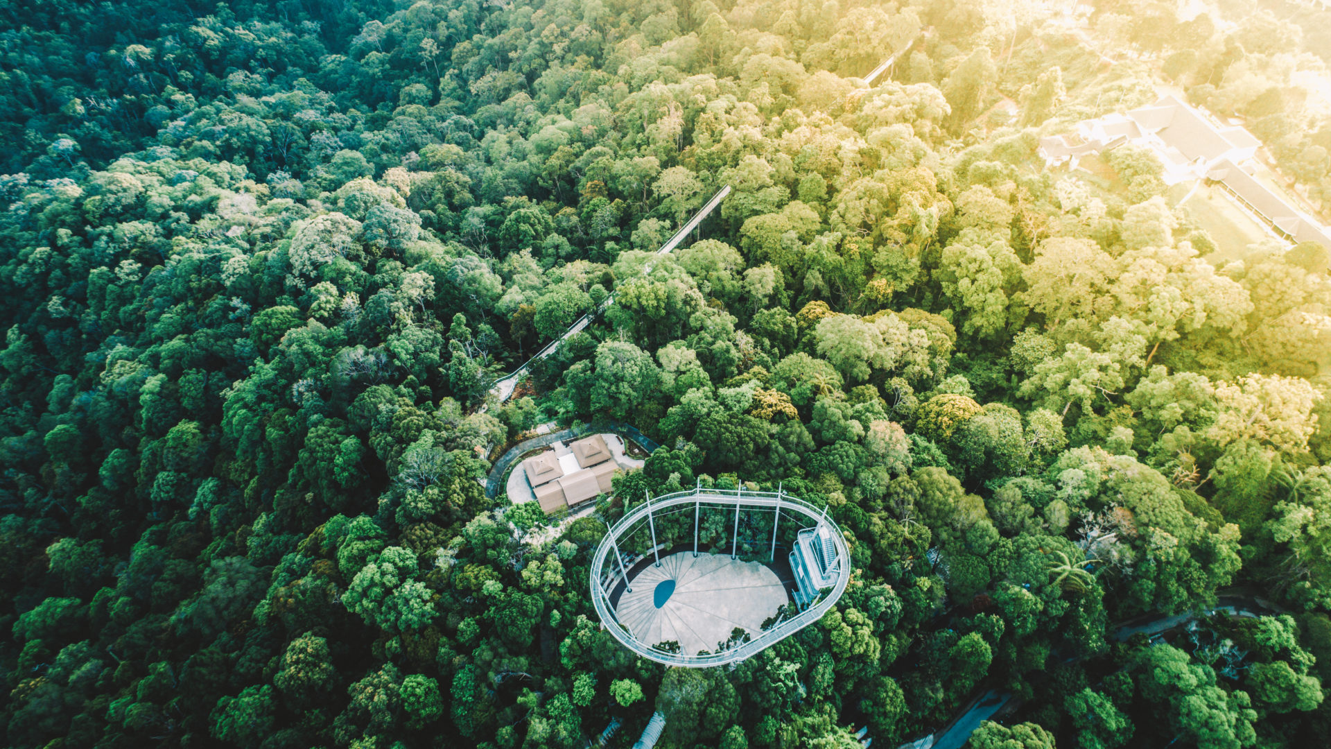 Fancy "forest bathing" in Penang's ancient rainforest? - Going Places ...
