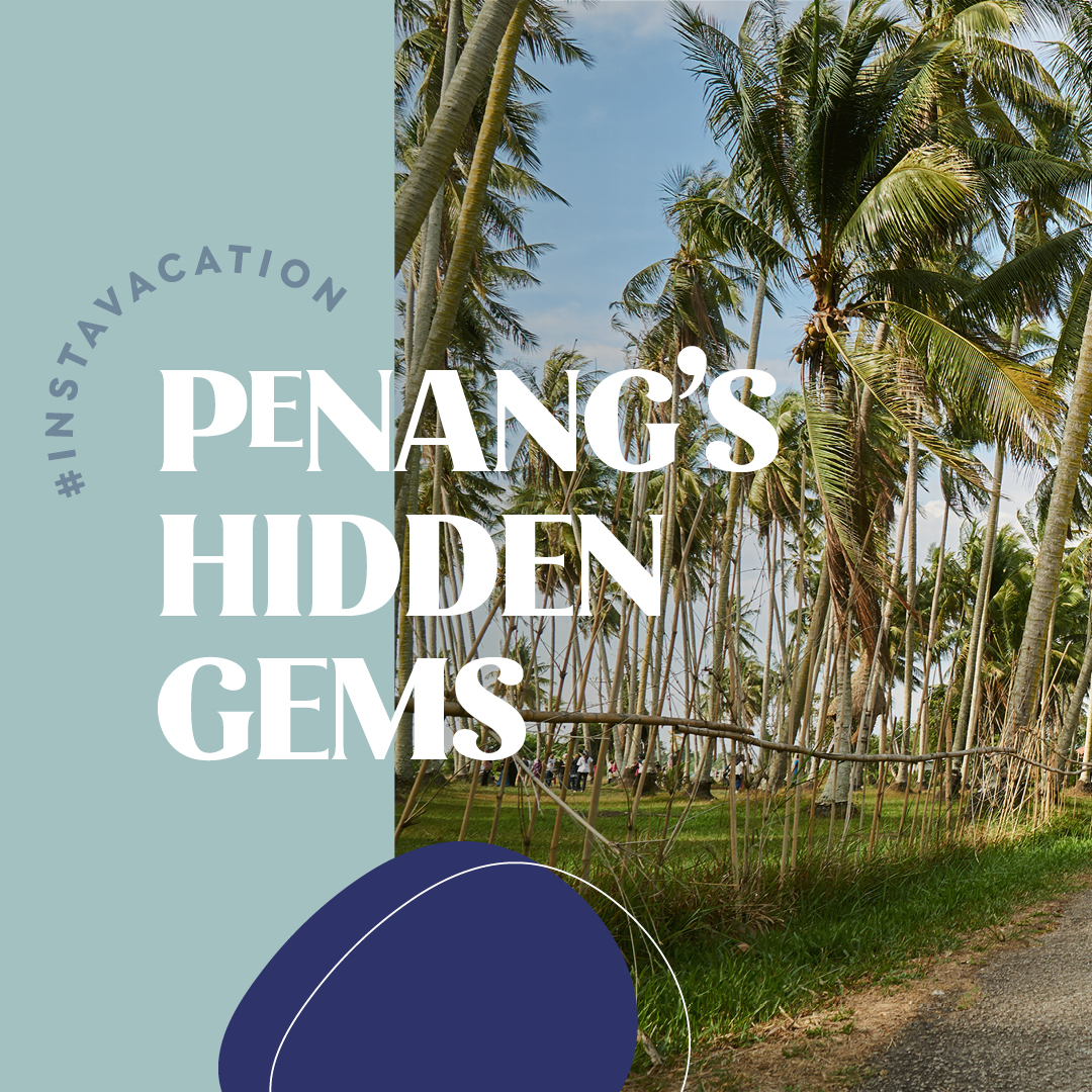 Six reasons to explore Teluk Bahang, the hidden nature gem of Penang ...