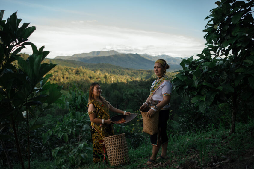 Why coffee farm homestays are a new reason to visit Sarawak | Journify