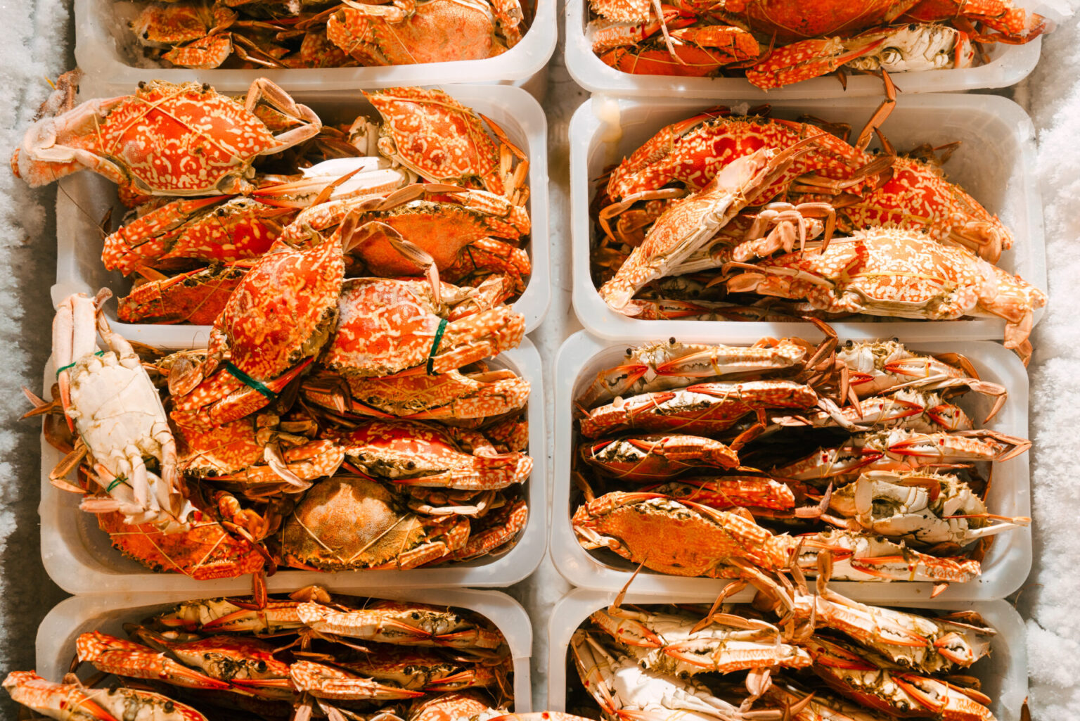 24 hours in Tawau - Going Places by Malaysia Airlines