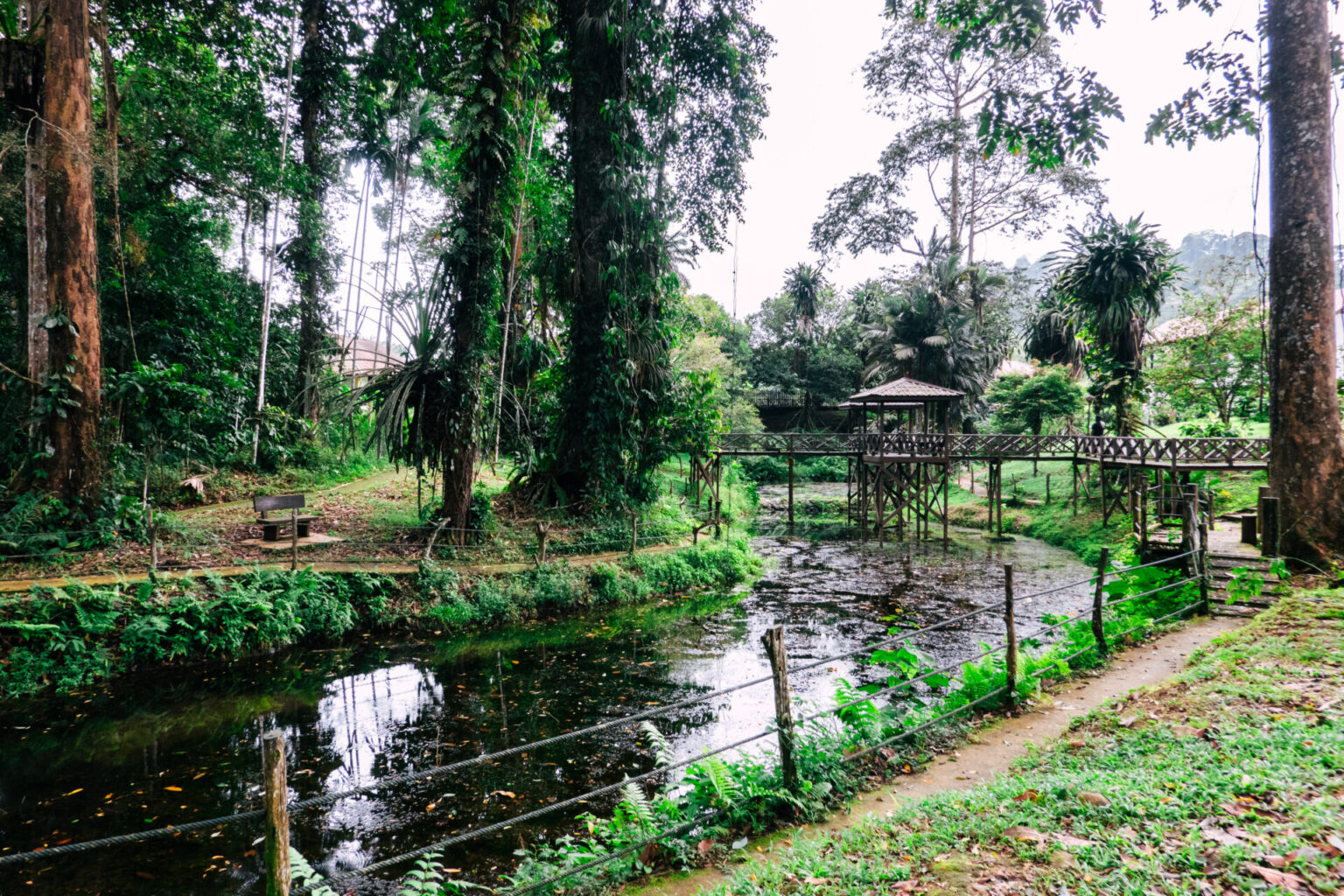 24 hours in Tawau - Going Places by Malaysia Airlines